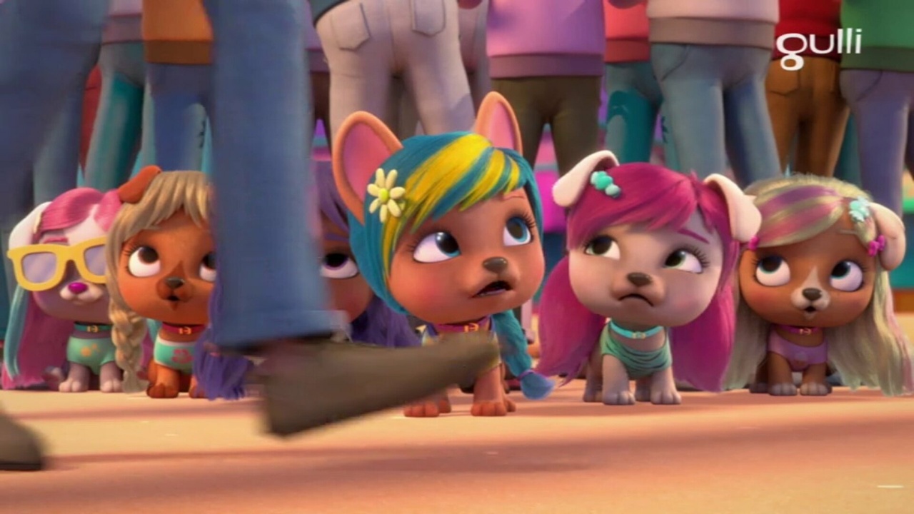 VIDEO : VIP Pets - DJ Gwen - S01 E05 - streaming gratuit